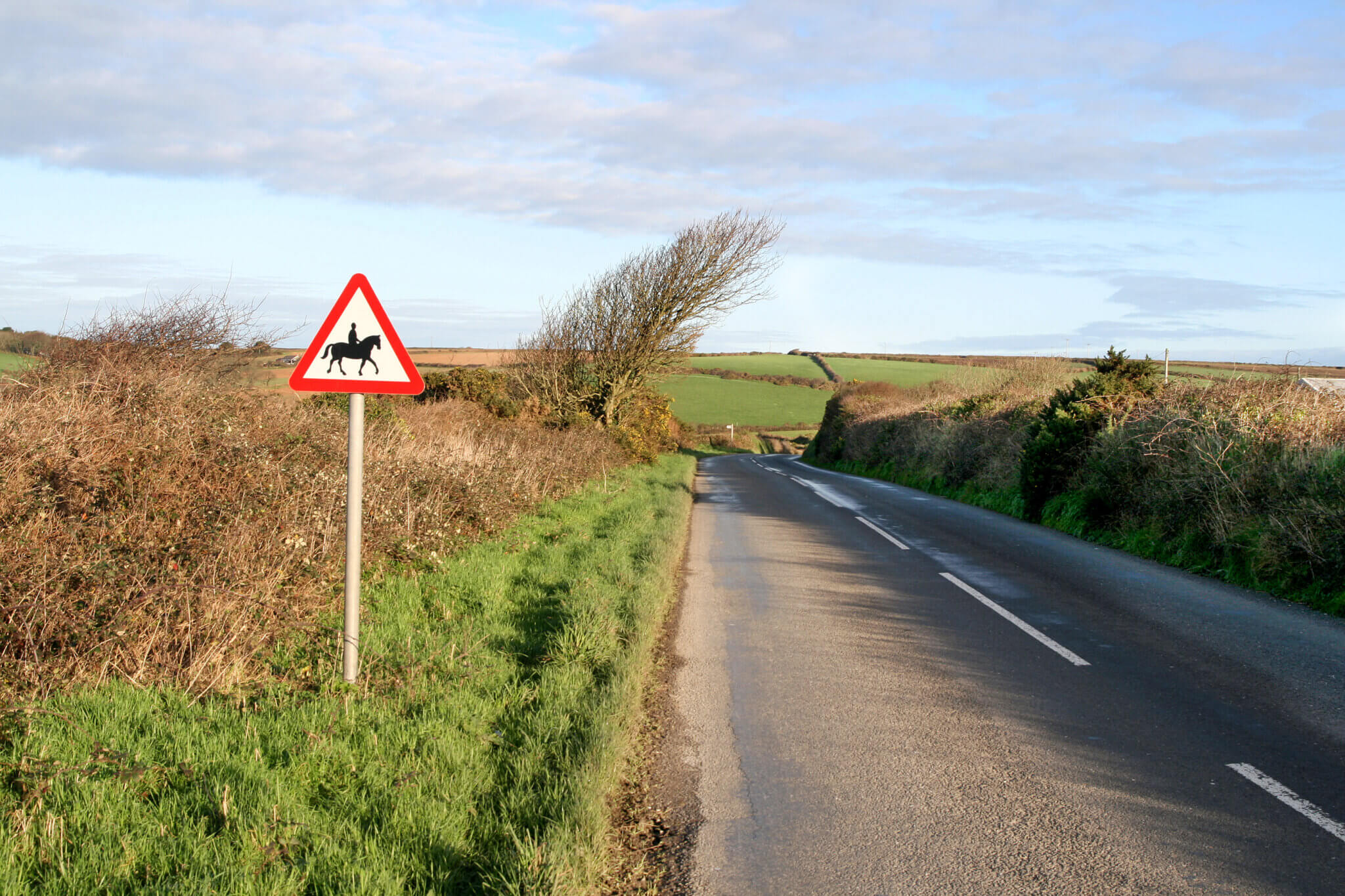 CPC Safe Urban, Rural and Motorway Driving - Fleet & Driver Management