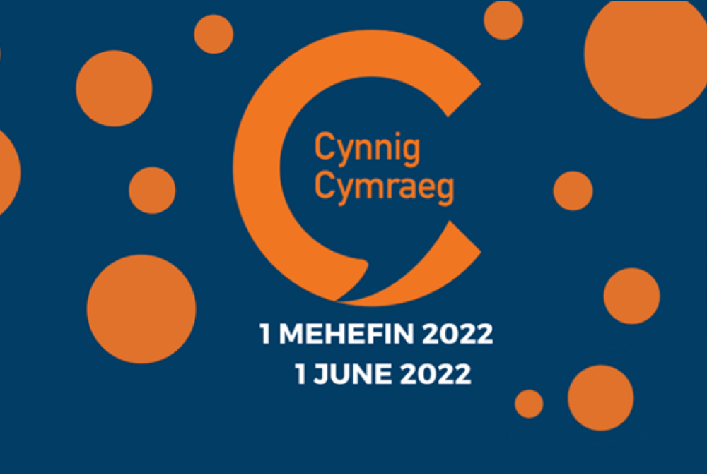 TTC Celebrates Cynnig Cymraeg Day (Welsh Offer) - TTC Group