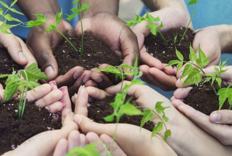 Operation Flower Power at TTC Group's Head Office - TTC Group