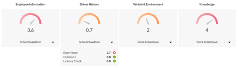 Driver risk assessment - Fleet & Driver Management